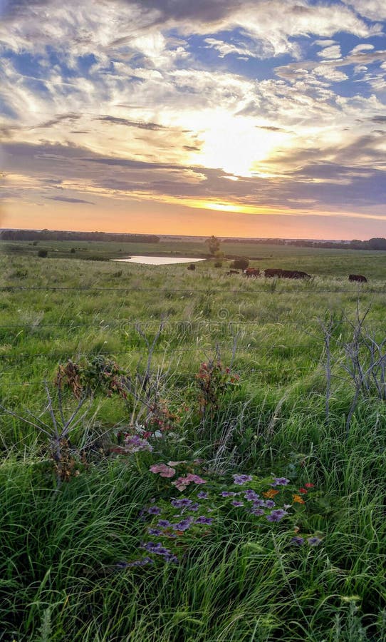 16,886 Prairie Sunset Photos - Free & Royalty-Free Stock Photos from ...