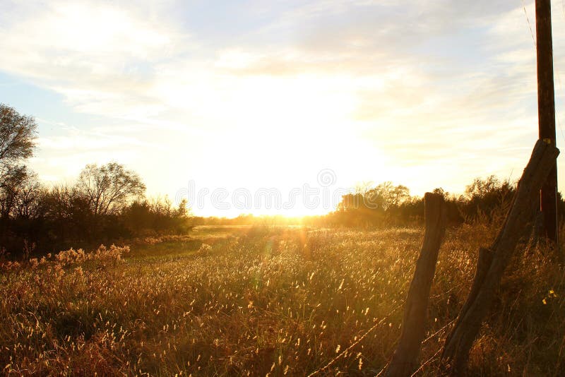 Kansas Sunset Field stock image. Image of sunset, field - 92241041