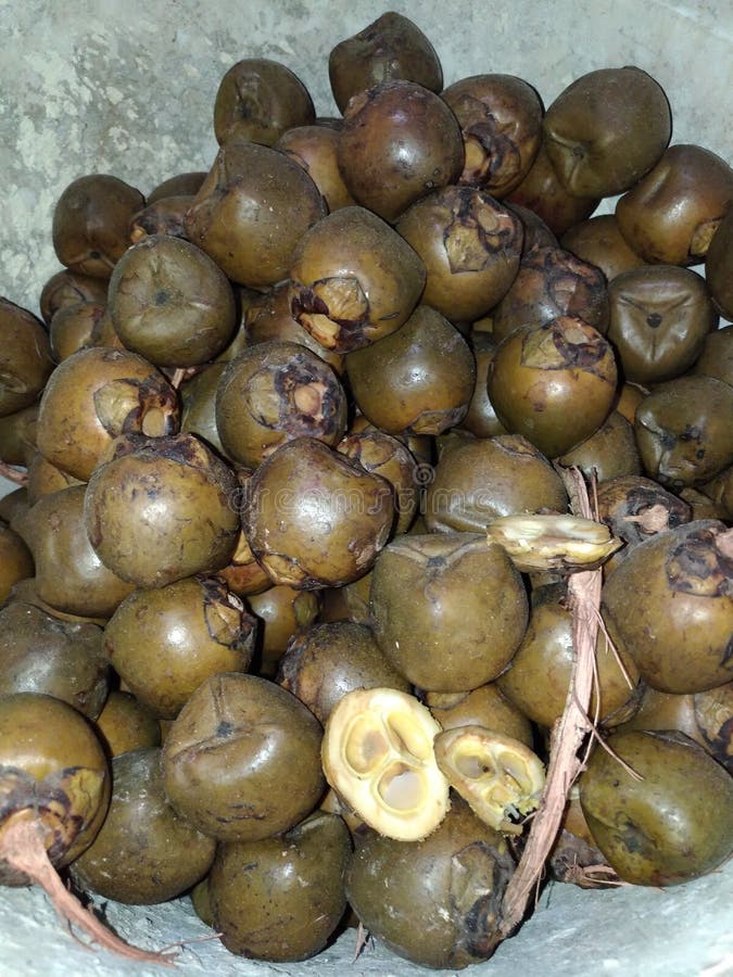 Kaong/ Irok stock image. Image of asian, fruit, irok - 137262175