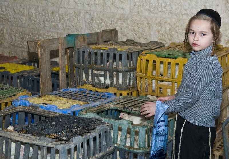 Kaparot editorial stock photo. Image of tradition, hebrew - 21489713