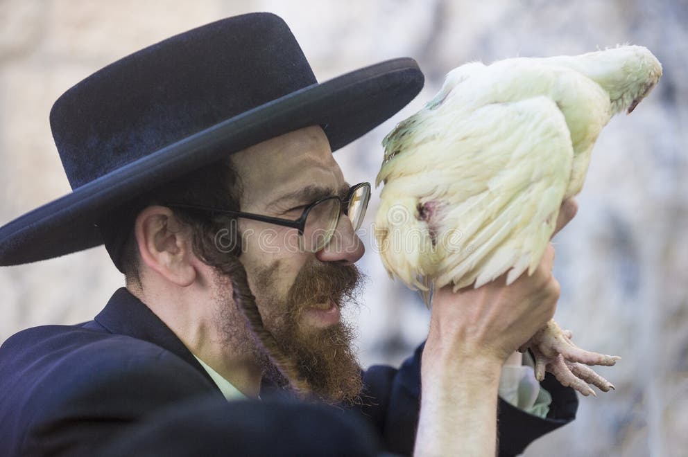 Kaparot editorial stock photo. Image of chicken, orthodox - 26840138