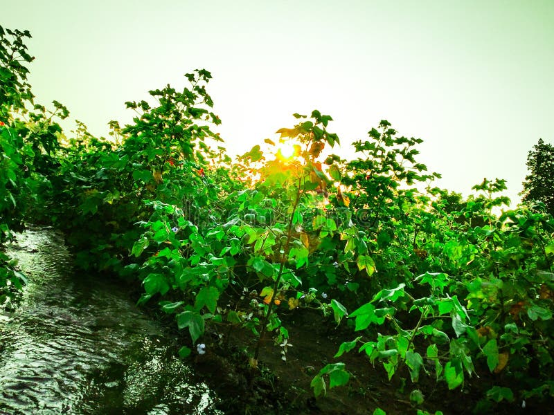 Anil Makvana (Makwanaanil767gma) - Photos