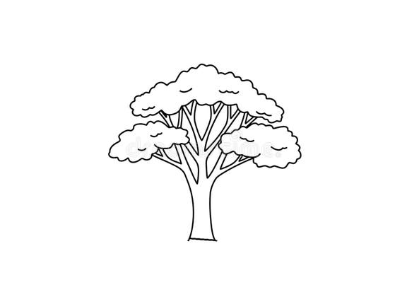 Kapok Stock Illustrations – 302 Kapok Stock Illustrations, Vectors ...