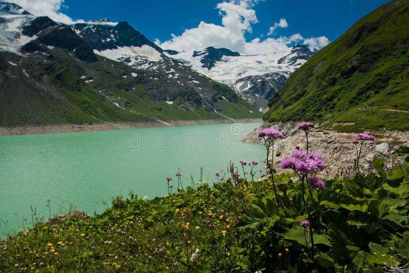 Kaprun Area, Lake, Flowers and Alps Stock Image - Image of lake ...