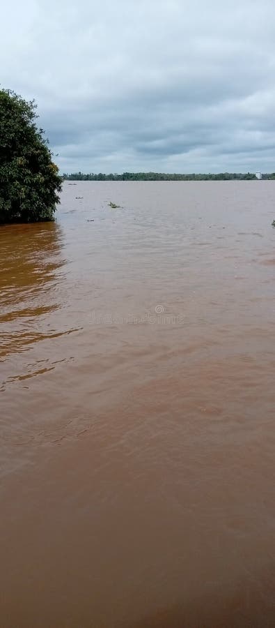 Kapuas river indonesia editorial photography. Image of nature - 264123397