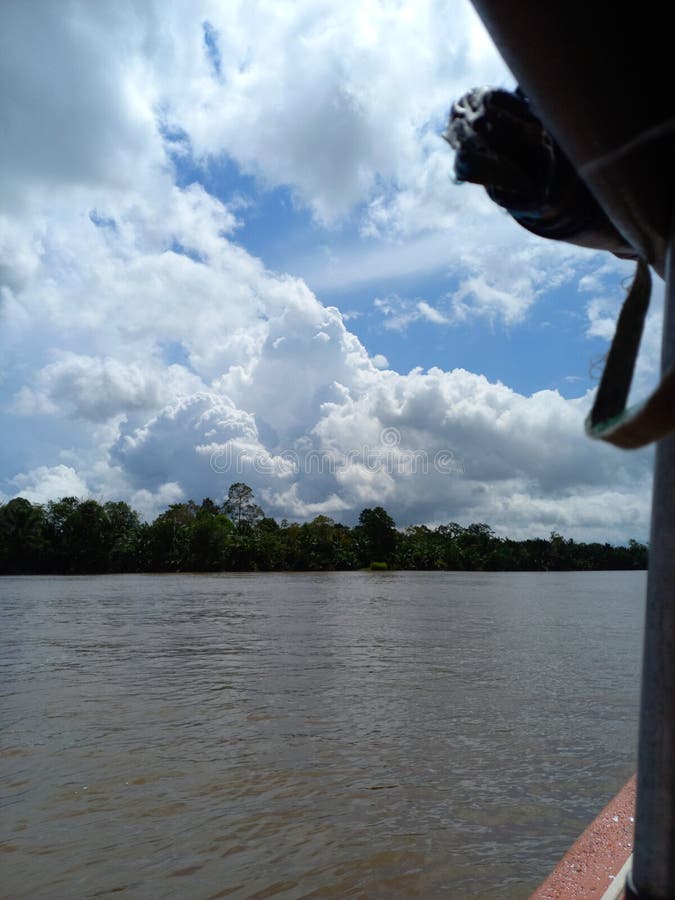 Kapuas River in West Borneo Stock Photo - Image of sunlight, wing ...