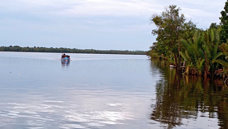 Kapuas River. West Kalimantan Stock Image - Image of vehicle, kapuas ...