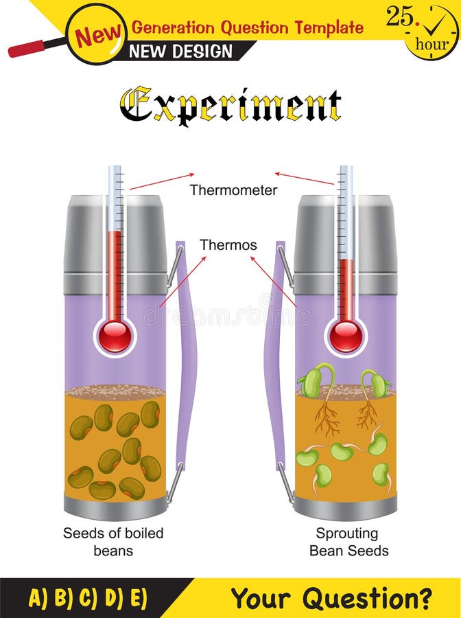 Physics - Joseph Priestley`s Experiment, Plant Experiments Stock ...