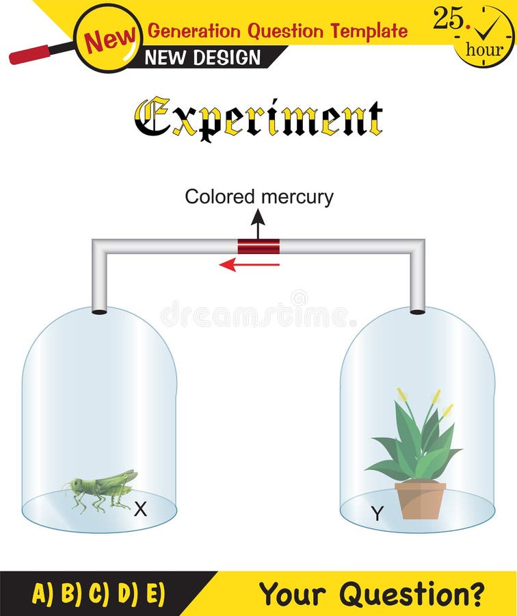 Biology Photosynthesis Plant Experiment Stock Illustrations – 250 ...