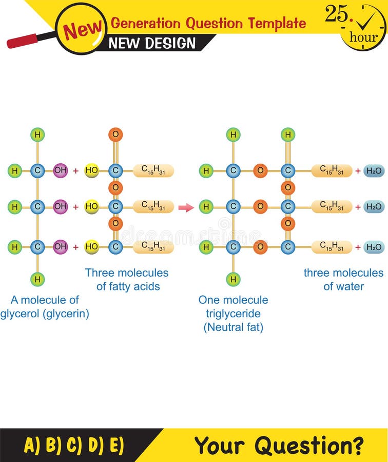 Living Things Diagram Stock Illustrations – 85 Living Things Diagram ...