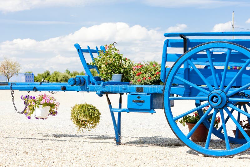 Kar in de Provence stock afbeelding. Image of dienblad - 23011857