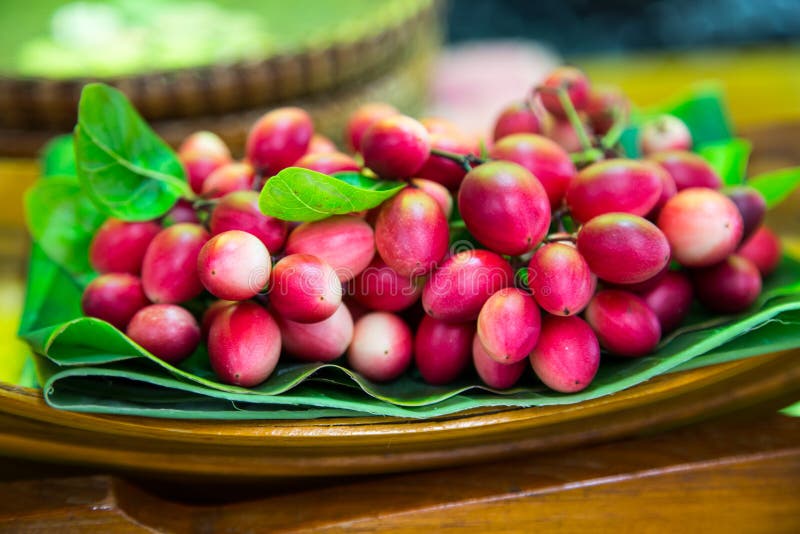 Karanda Fruit, Carissa Carandas L Stock Image - Image of farm ...