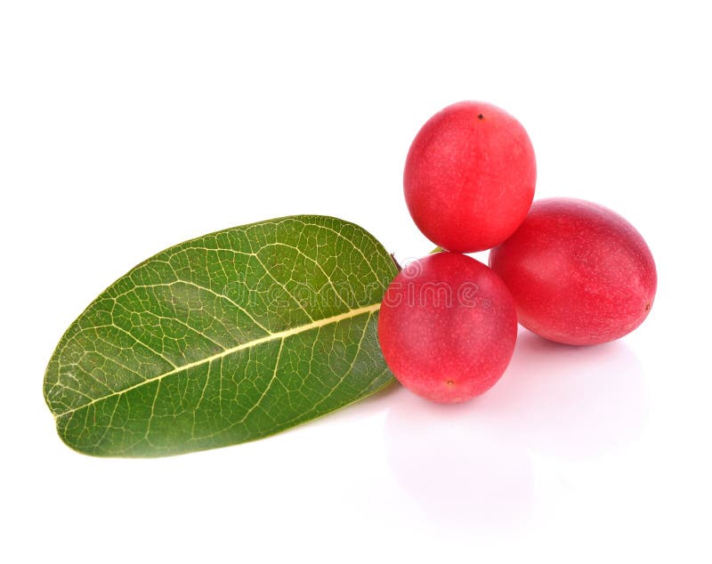 Karanda Fruit Carissa Carandas Stock Image - Image of edible ...