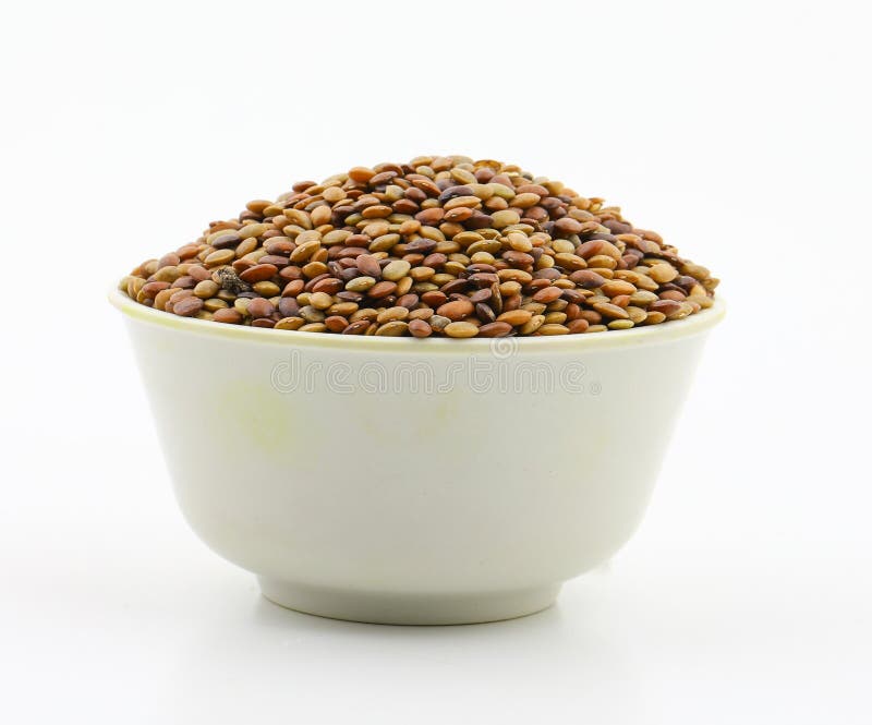 Karat seeds stock photo. Image of agriculture, healthy - 94130532