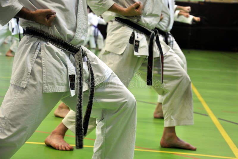 Karate stock photo. Image of clothing, closeup, indoors - 25450670