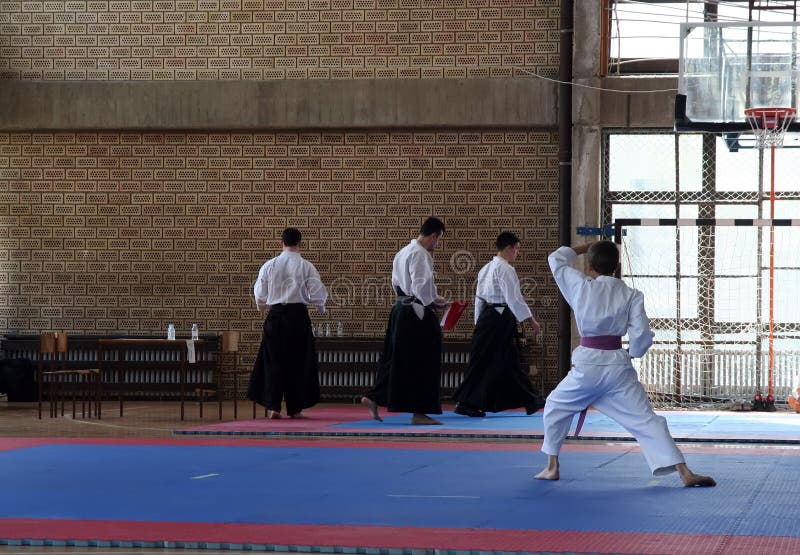 Karate men editorial photography. Image of determination - 22701742