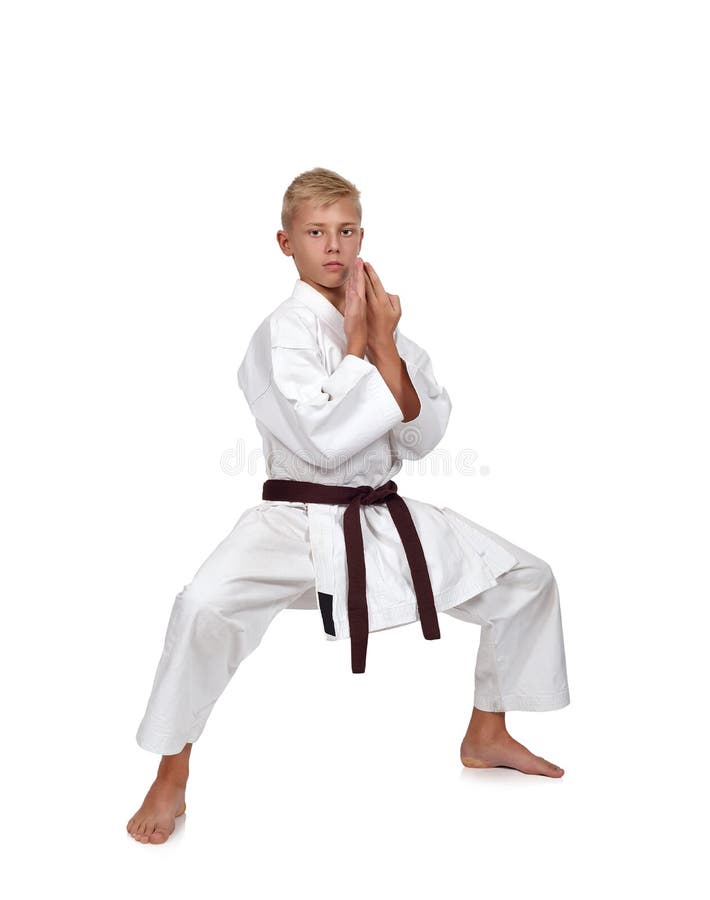 Karate Boy Fighting Position Stock Photo - Image of martial, power ...