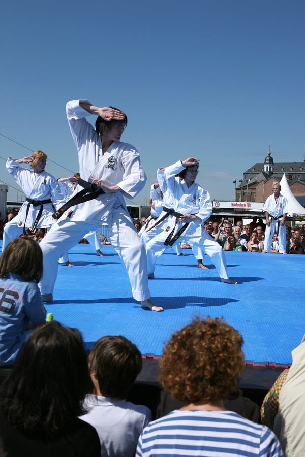 Karate demonstration editorial photography. Image of spectators - 9794937