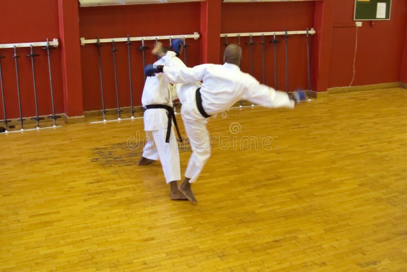 Karate fight stock image. Image of dynamic, determination - 1115013