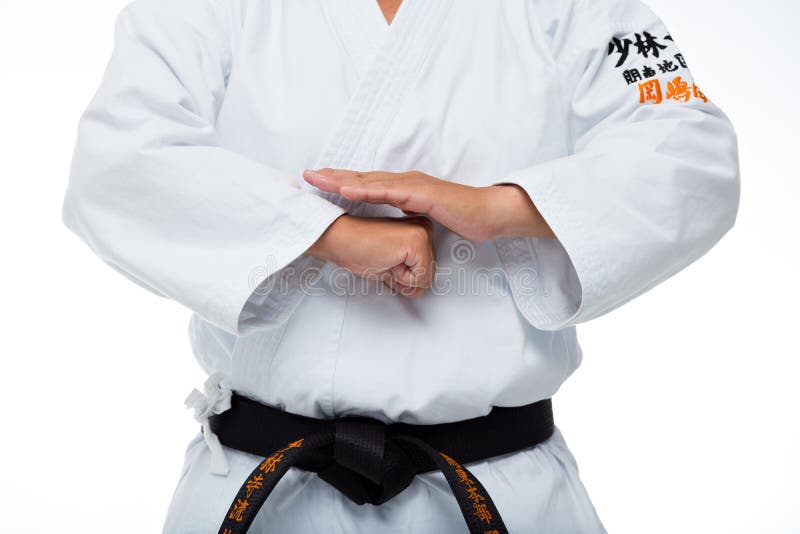 Karate fighter stock photo. Image of person, arts, action - 40218712