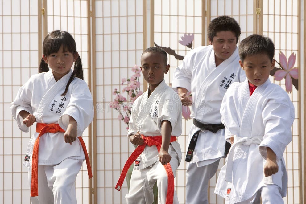 Karate Form editorial photography. Image of form, black - 21310677