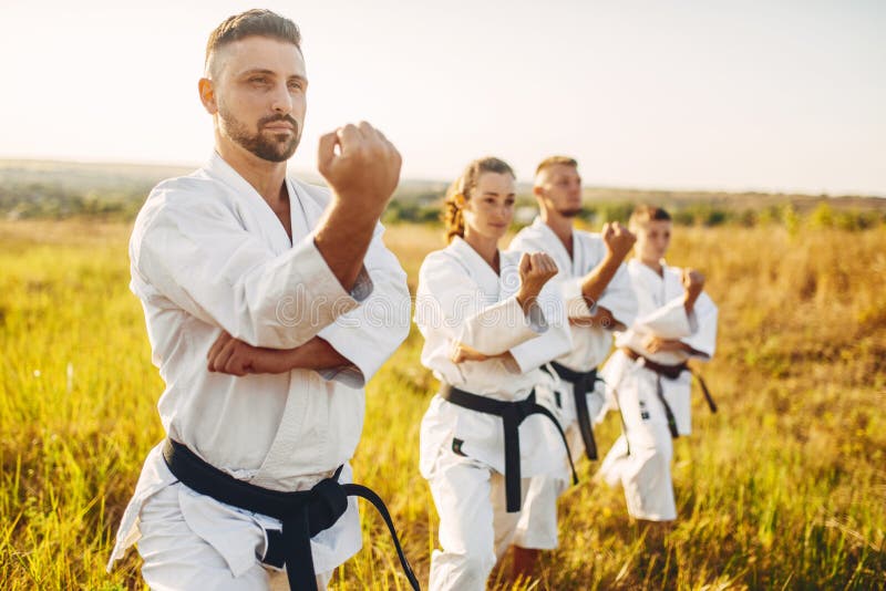 Karate Group on Training in Summer Field Stock Image - Image of fitness ...
