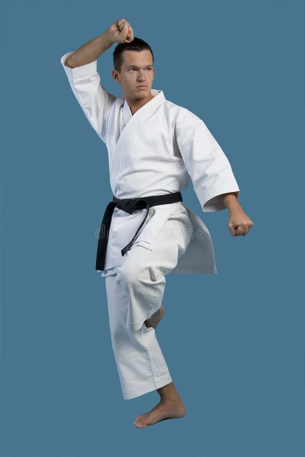 Karate kata stock photo. Image of person, tough, working - 27198046