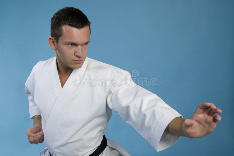 Karate Kata Picture. Image: 27198047
