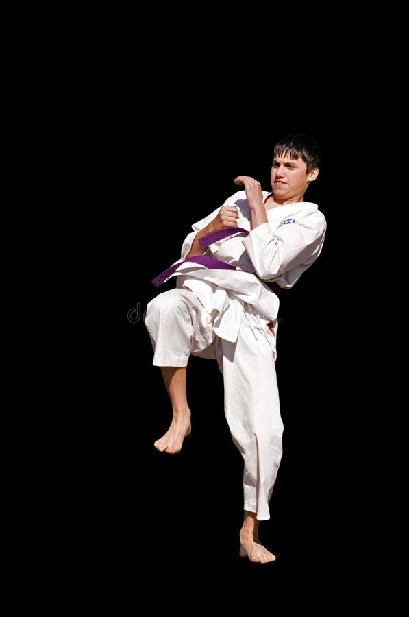 Karate kick stock image. Image of defense, posed, kick - 2723169