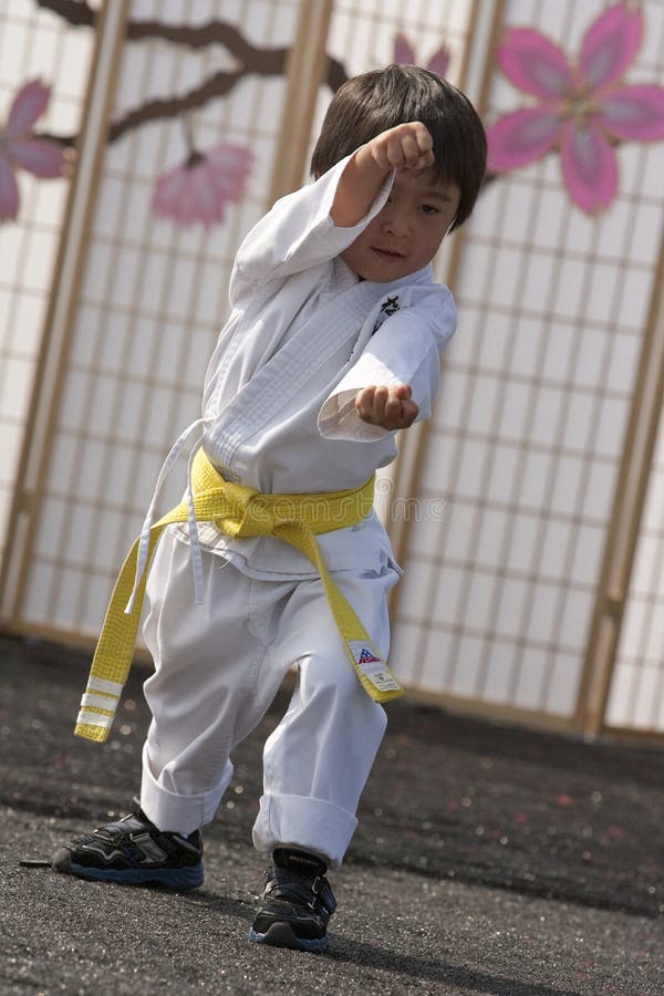 Karate Kid editorial photo. Image of children, blossom - 21310651