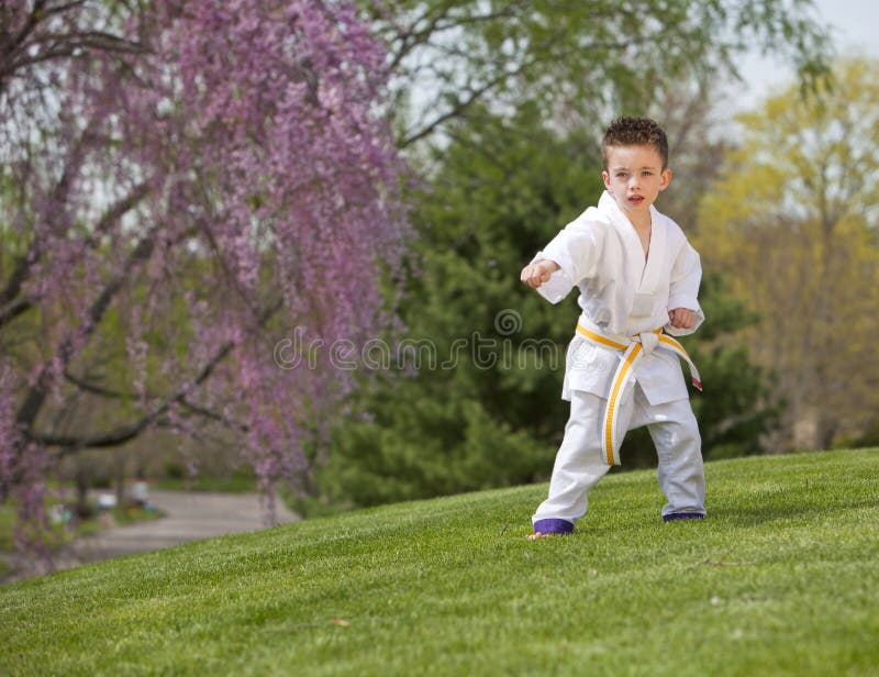 Karate kid stock photo. Image of child, person, punch - 22266004