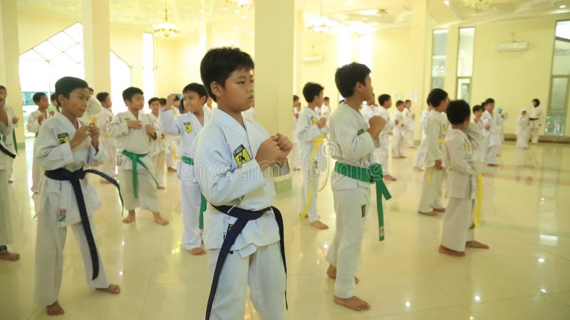Karate kids at school stock footage. Video of indoor - 240019502