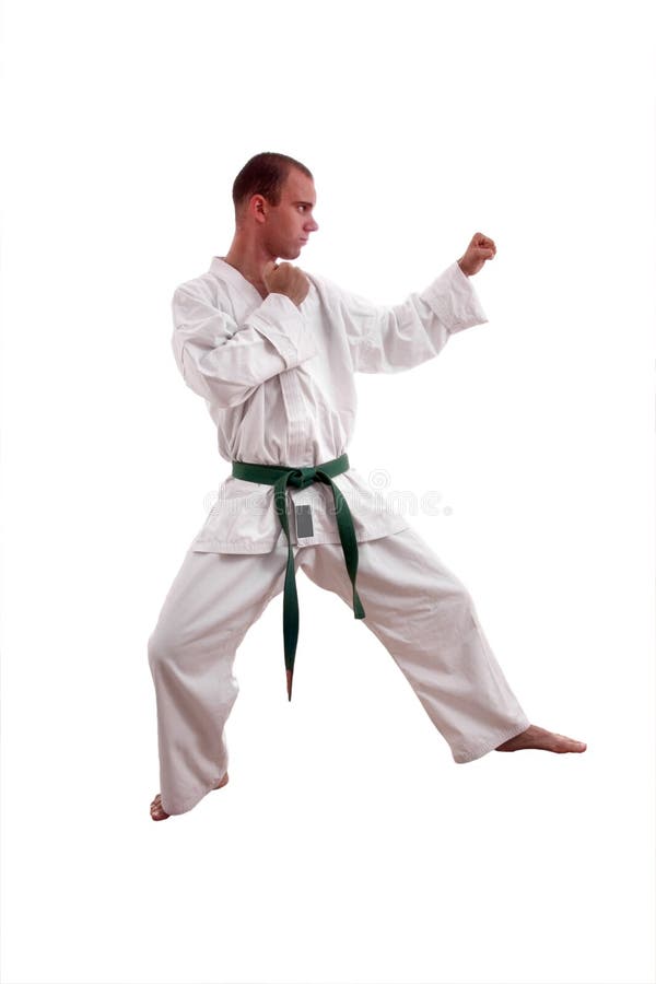 Karate Kick stock photo. Image of kick, fist, handsome - 5929112