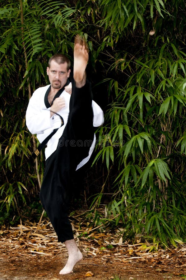 Karate Man stock image. Image of belt, fight, power, hand - 15905233