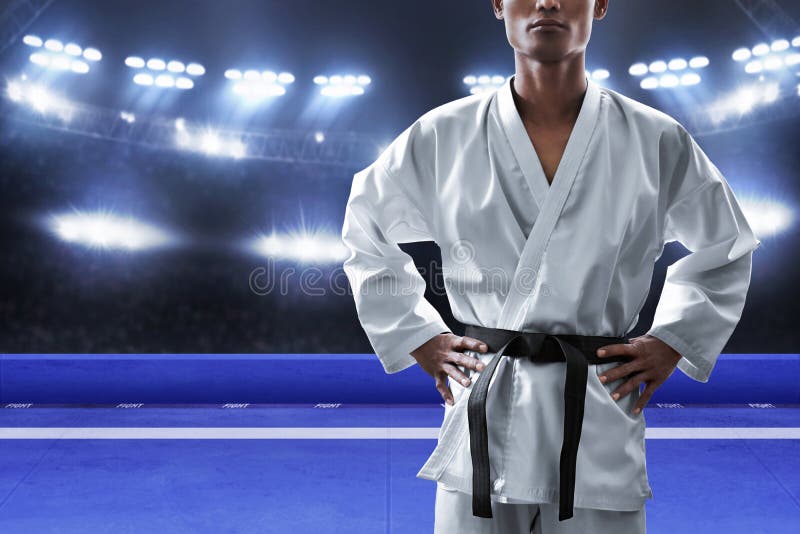 Karate Competition Arena Art Stock Photos - Free & Royalty-Free Stock ...