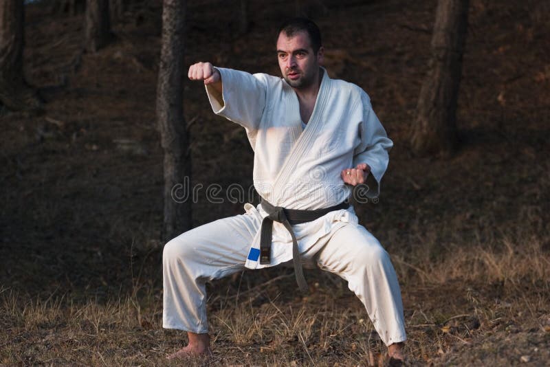 Karate master stock image. Image of defense, exercise - 4900523