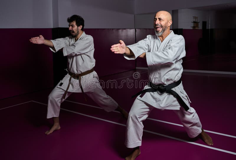 Karate Master and His Apprentice Practicing Martial Arts Stock Image ...