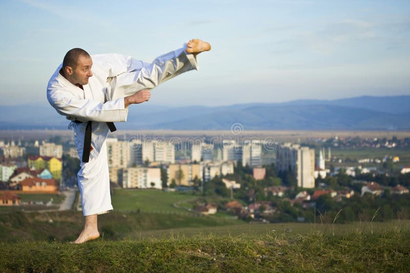 Karate stock image. Image of healthy, active, karateka - 10203593