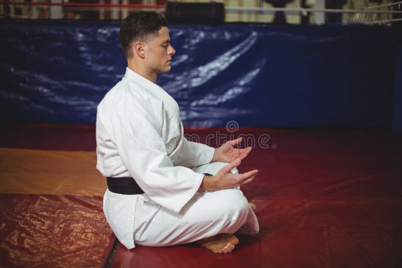 Karate Player in Prayer Pose Stock Photo - Image of belt, black: 81425086
