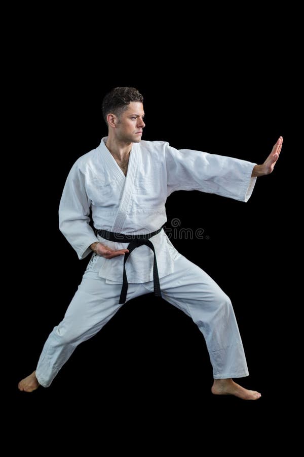 Karate Player Performing Karate Stance Stock Image - Image of accuracy ...