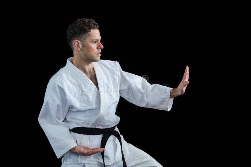 Karate Player Performing Karate Stance Stock Image - Image of physical ...