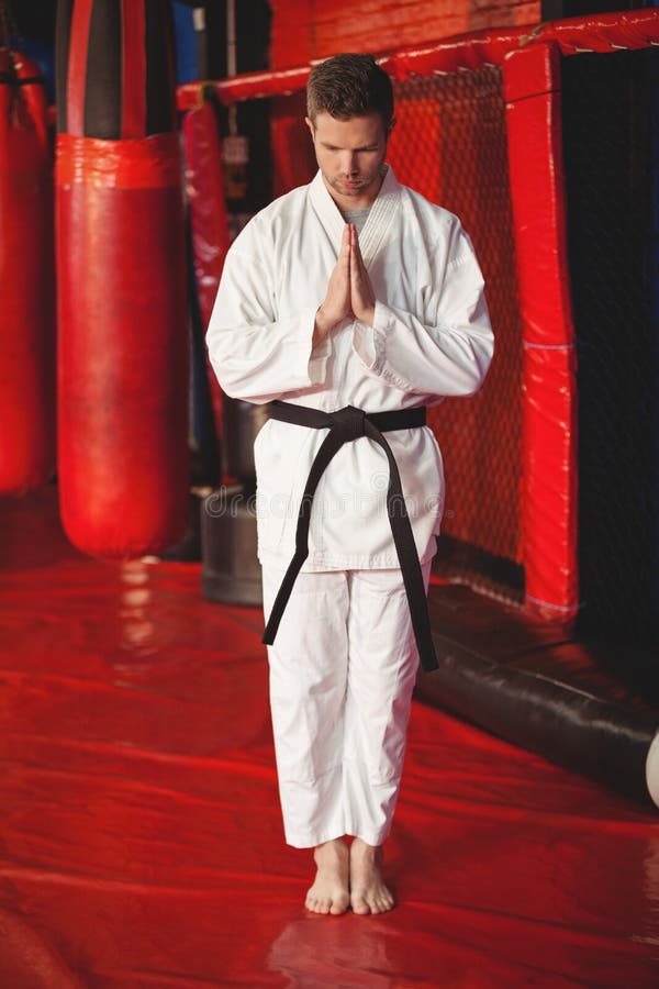 Karate Player Performing Karate Stance Stock Image - Image of studio ...