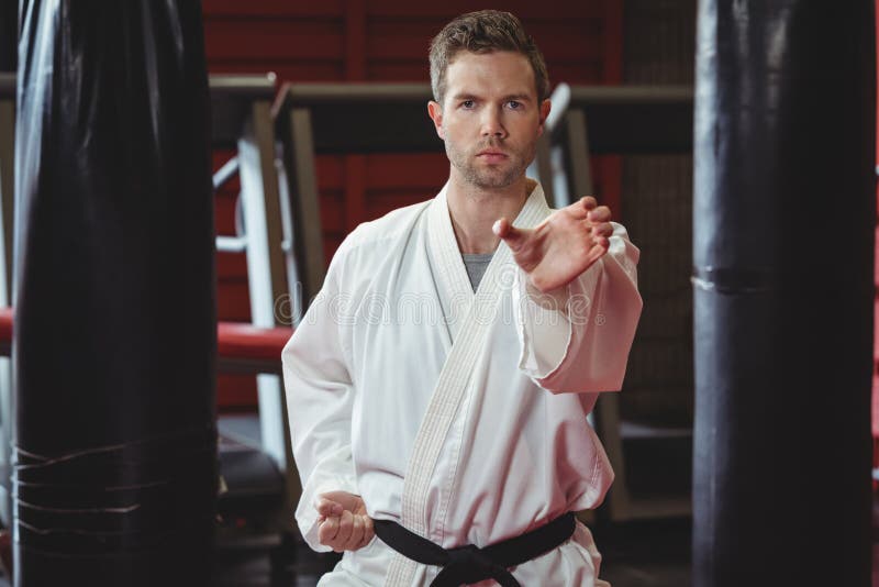 Karate Player Performing Karate Stance Stock Image - Image of standing ...