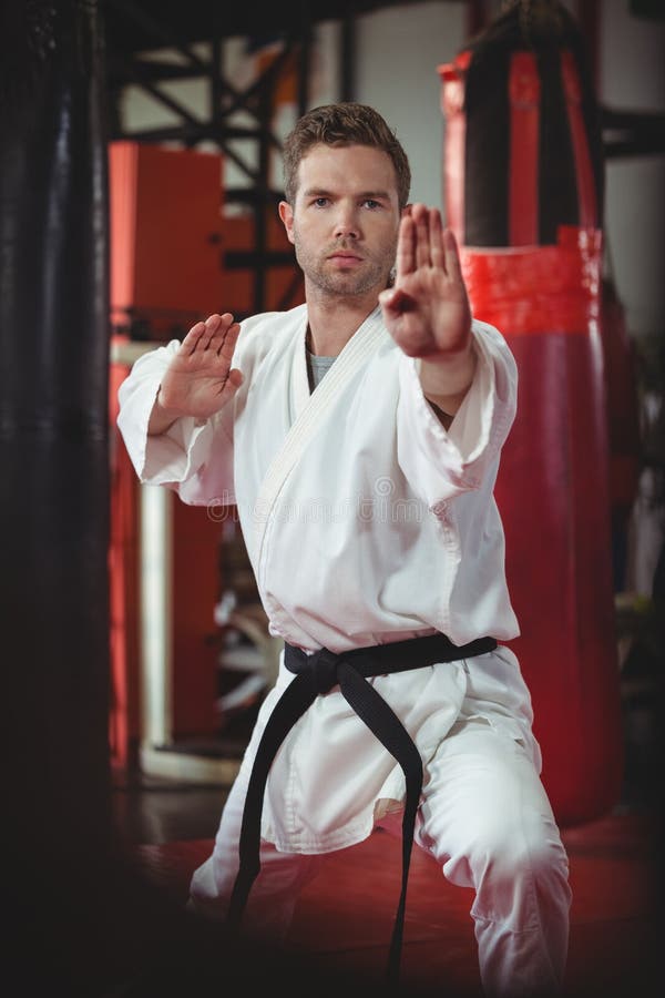 Karate Player Performing Karate Stance Stock Photo - Image of ...