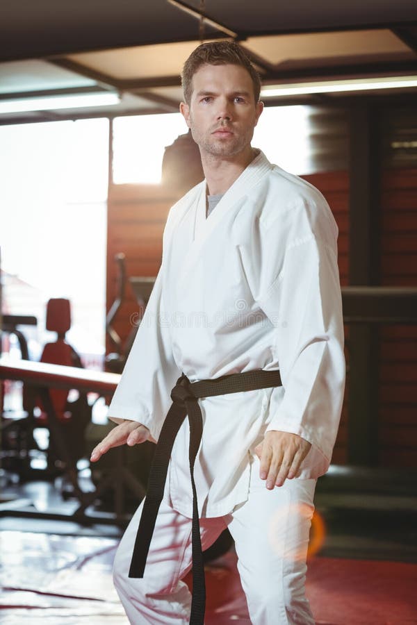 Karate Player Performing Karate Stance Stock Image - Image of ...