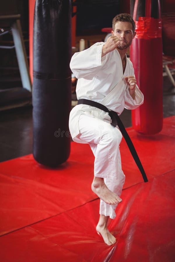 Karate Player Performing Karate Stance Stock Photo - Image of ...