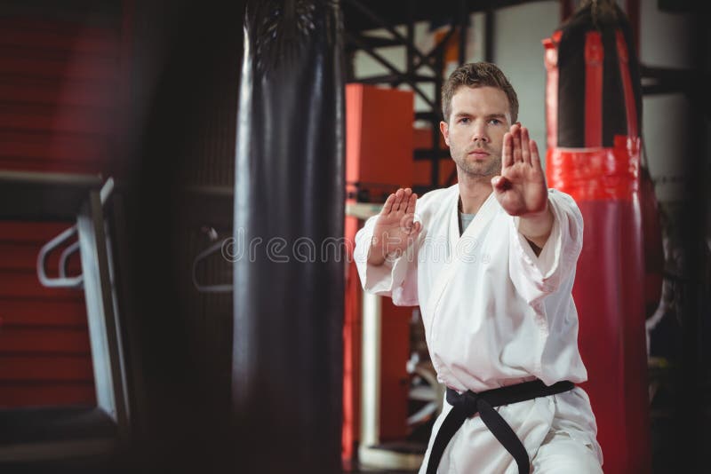 Karate Player Performing Karate Stance Stock Photo - Image of ...