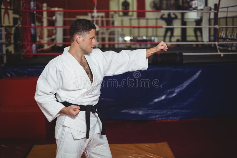 Karate Player Practicing Karate Stance Stock Photo - Image of ...