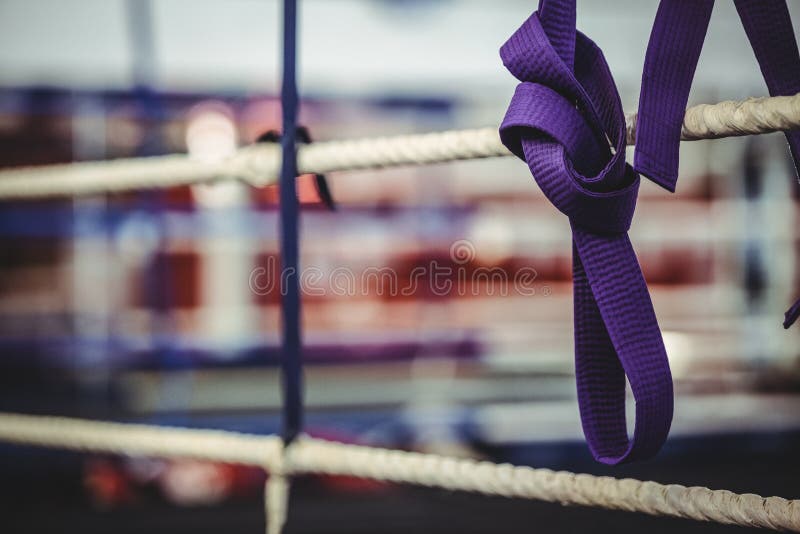 Karate Purple Belt Hang Off the Rope Stock Photo - Image of operation ...