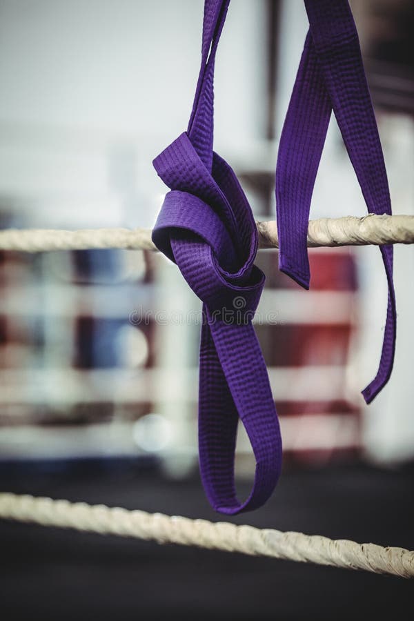 Karate Purple Belt Hang Off the Rope Stock Photo - Image of purple ...